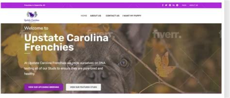 Create A Ecommerce Store With Using The Woocommerce By Basitshiekh Fiverr