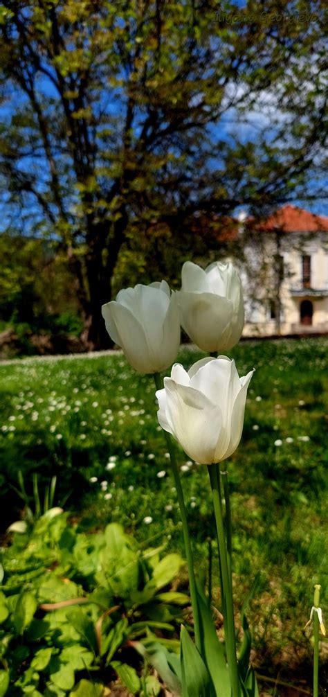 Iliyana Georgieva On Linkedin На електронна картичка за рожден ден преди няколко години бях