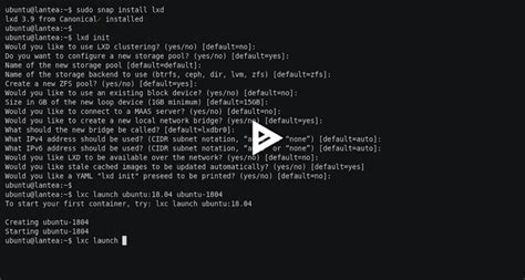 Ubuntu Snap Store Wave Terminal LXD And Apache Ant