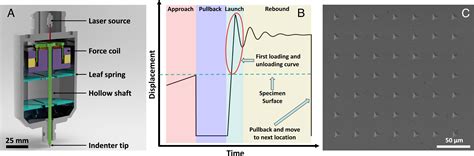 Evolution Of Dislocation Substructures In Metals Via High Strain Rate Nanoindentation Pnas