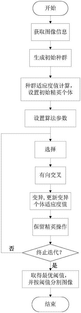 一种基于有向交叉遗传算法和二维最大熵阈值分割算法的图像分割方法与流程