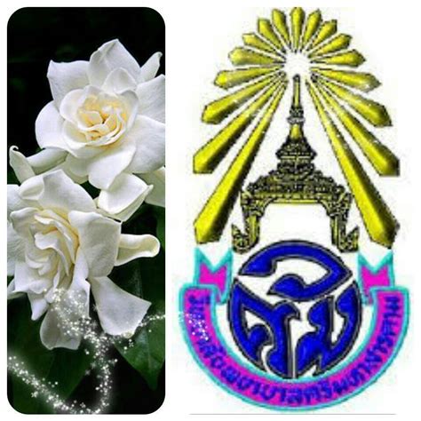 วิทยาลัยพยาบาลศรีมหาสารคาม Home