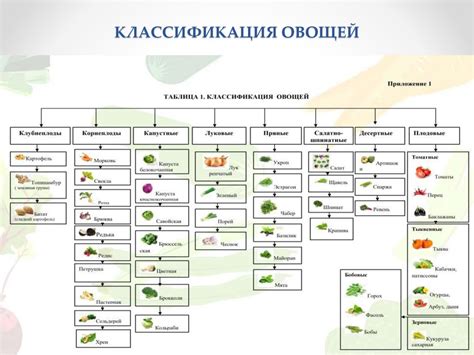 Приготовление и подготовка к реализации полуфабрикатов из овощей