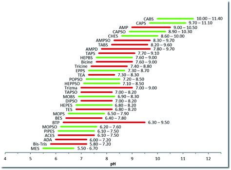 Biological Buffer Ph Range At Gordon Glazer Blog