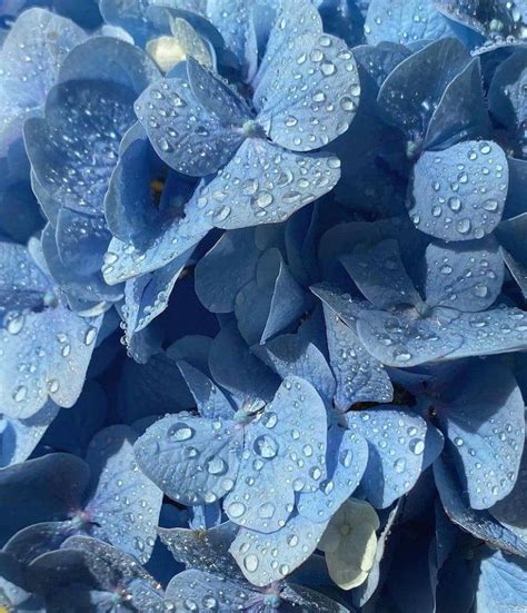 Pin By Jiuly On Color Light Blue Aesthetic Cute Blue Wallpaper Blue
