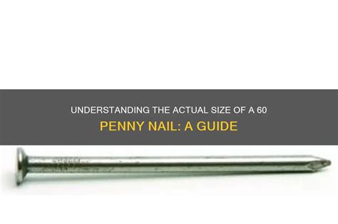 Understanding The Actual Size Of A 60 Penny Nail A Guide Nailicy