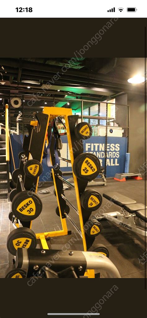 베스코 고정바벨세트 팝니다 헬스용품 중고나라