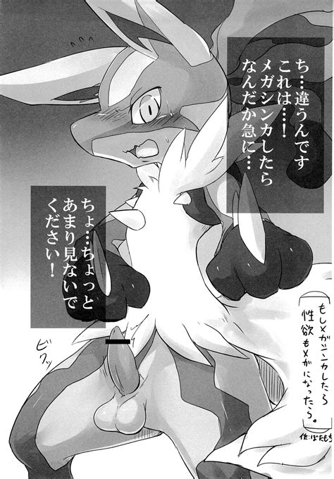 Post Lucario Mega Evolution Mega Lucario Porkyman