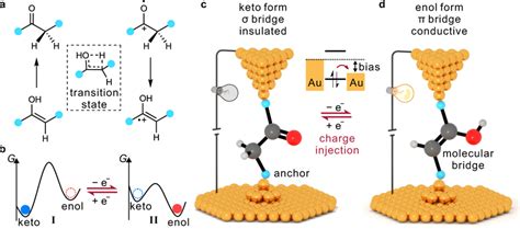 Schematic Diagram Of A Nanoscale Device Based On Single Molecule Download Scientific Diagram