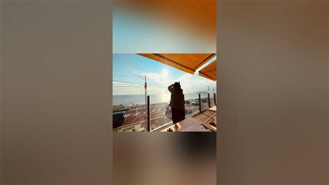 镰仓 直到世界尽头 Youtube