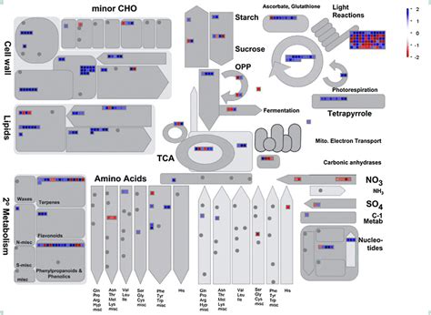 Overview Of The Mapman Visualization Of Differences In Transcript Download Scientific Diagram