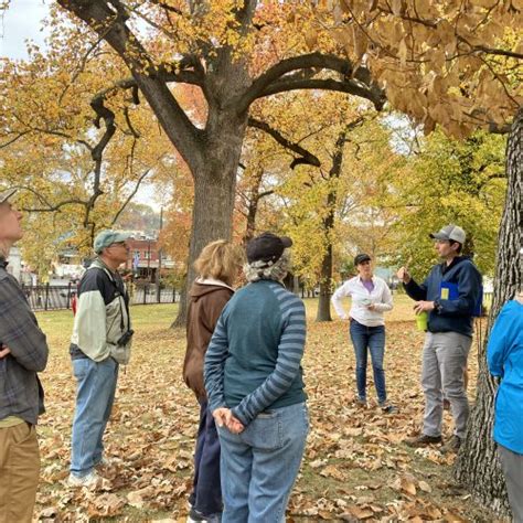 Tree Education Information Tree Pittsburgh