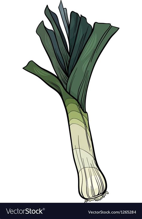 Leek Vegetable Cartoon Vector Image On Vectorstock Ilustrações De