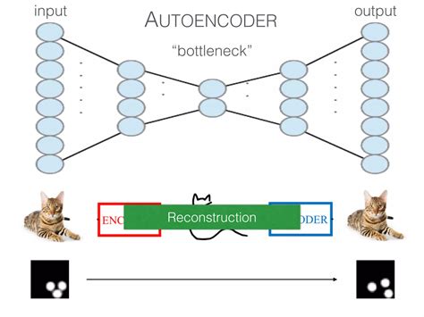 Article Overview Unsupervised Learning Of Visual Structure Using