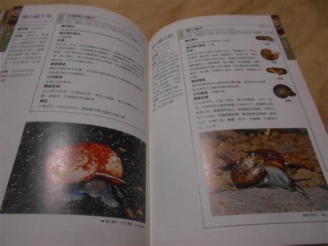 台灣蝸牛圖鑑 精裝版 附光碟一片 謝伯娟 行政院農委會 露天市集 全台最大的網路購物市集
