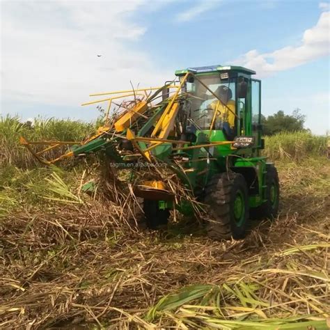 Sugar Cane Harvesting Machine Cane Cutter Machine Sugarcane Harvester