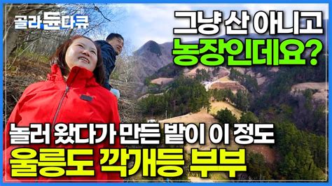 산 아니고 농장 맞아요 황무지 산 하나를 꼬박 2년 개간해 만든 부부의 엄청난 농장 여행 왔다가 시작한 농사 스케일이 장난 아닌 울릉도 깍개등 부부│한국기행