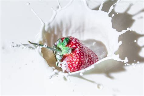 Fresas Deliciosas En Crema Imagen De Archivo Imagen De Vida 149389587