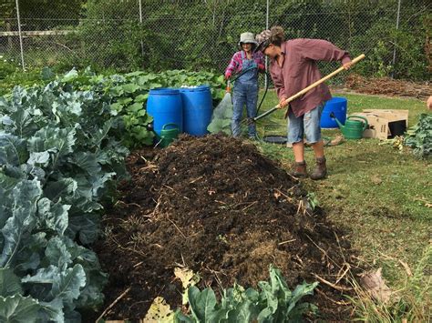 No Turn Composting Using The Spice Method — Common Unity