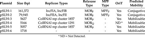 Characterizations Of The Six Plasmid Sequences Harbored In The E Coli Download Scientific