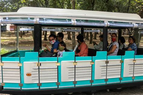 Trenecito De Chapultepec Cuánto Cuesta Y Qué Lugares Emblemáticos Recorre Infobae