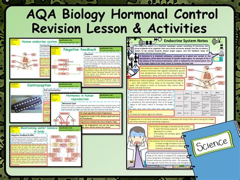 Aqa Ks4 Gcse Biology Science Hormonal Control Revision Lesson And Activities Teaching Resources