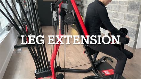 Bowflex Pr3000 Workouts Eoua Blog