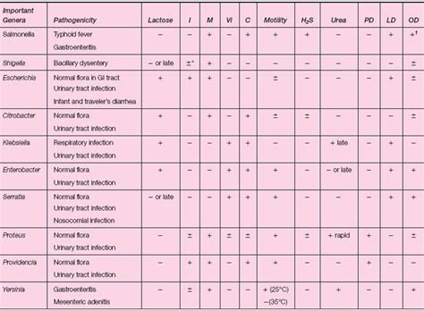 Enterobacteriaceae Medical Laboratory Science Medical Lab Technician