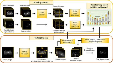 Workflow For Training And Testing The Deep Learning Algorithm In