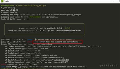 使用 Strapi Postgresql Astro 快速构建博客 掘金