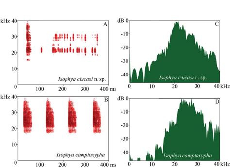 Spectrographic Analysis Of The Song Frequencies Between 0 40 Khz A B