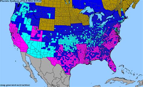 Bermuda Grass Whats Blooming
