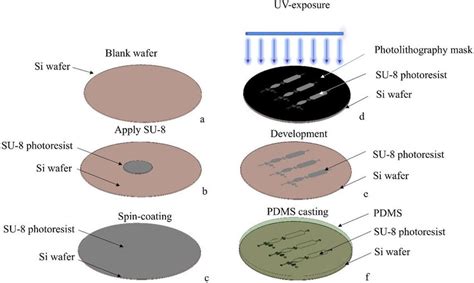Fabrication Procedure Of The Pdms Based Microfluidic Device A Blank Download Scientific