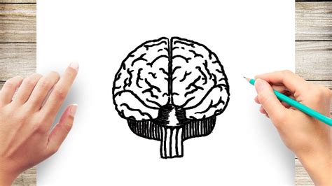 How To Draw Human Brain YouTube