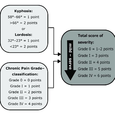 Participant Feedback On Additional Severity Classification Components