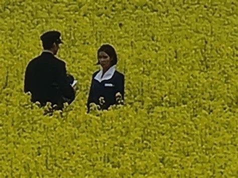 [넷플릭스] 아이유 박보검 주연 폭싹 속았수다 촬영 현장 인스티즈 Instiz 이슈 카테고리