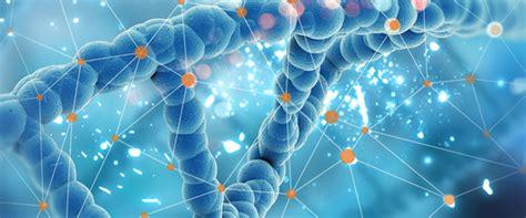 Mgc Digital Immunoassay Biomarker Detection Duke Molecular Physiology Institute Duke