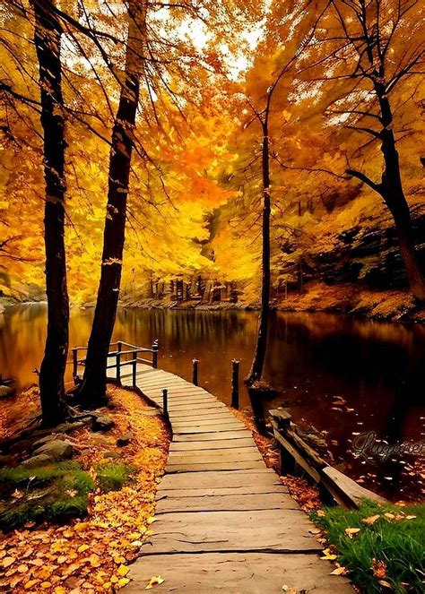 Pin By Armia On Quick Saves Autumn Landscape Autumn Scenery Nature