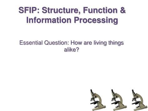 Ppt Sfip Structure Function And Information Processing Powerpoint Presentation Id 5262194