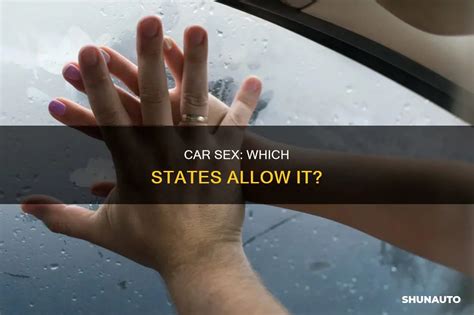 Car Sex Which States Allow It Shunauto