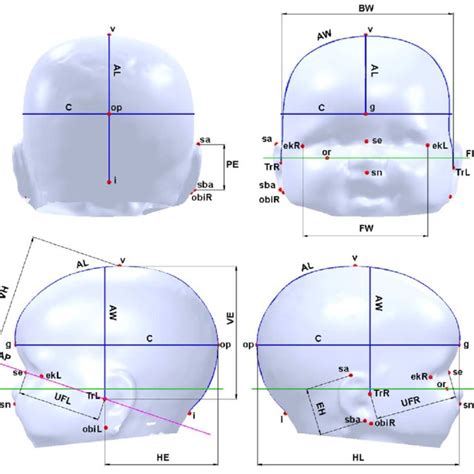 The Selected Landmarks And Anthropometric Measurements For Use In The Download Scientific