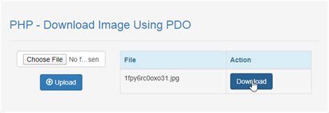 Php Download Image Using Pdo Sourcecodester