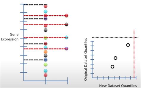 Quantile Quantile Plot Qq Plot