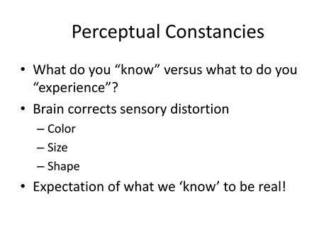Perceptual Processing Ppt