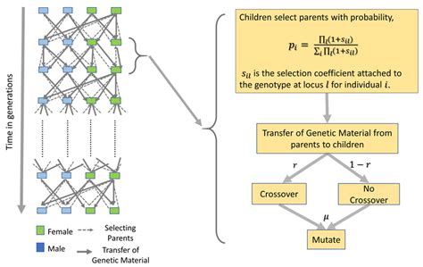 Schematic Diagram For Simulating The Book Of Populations Which