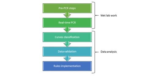 What Is The Difference Between Real Time And Reverse Transcriptase Pcr
