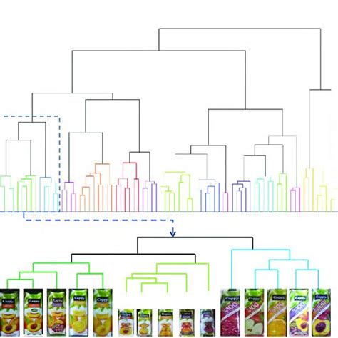 Top Class Tree And Sub Tress Of 80 Classes In The Beverage Dataset Is
