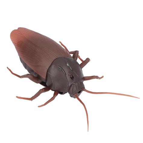 Remote Control Cockroach Toy Lifelike High Simulation Delicate Texture