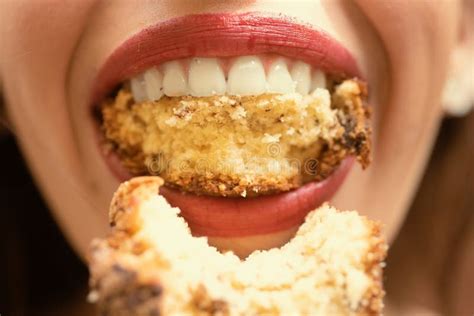 Hunger Closeup Of Woman Eating Meal Female Lips Closeup Woman Face