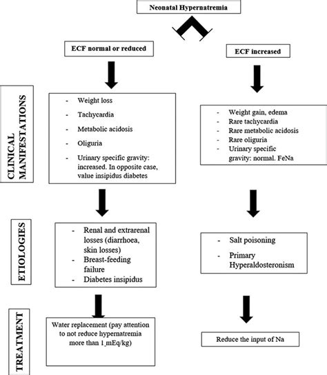Proposal Of A Flowchart In Cases Of Neonatal Hypernatremia Ecf Download Scientific Diagram